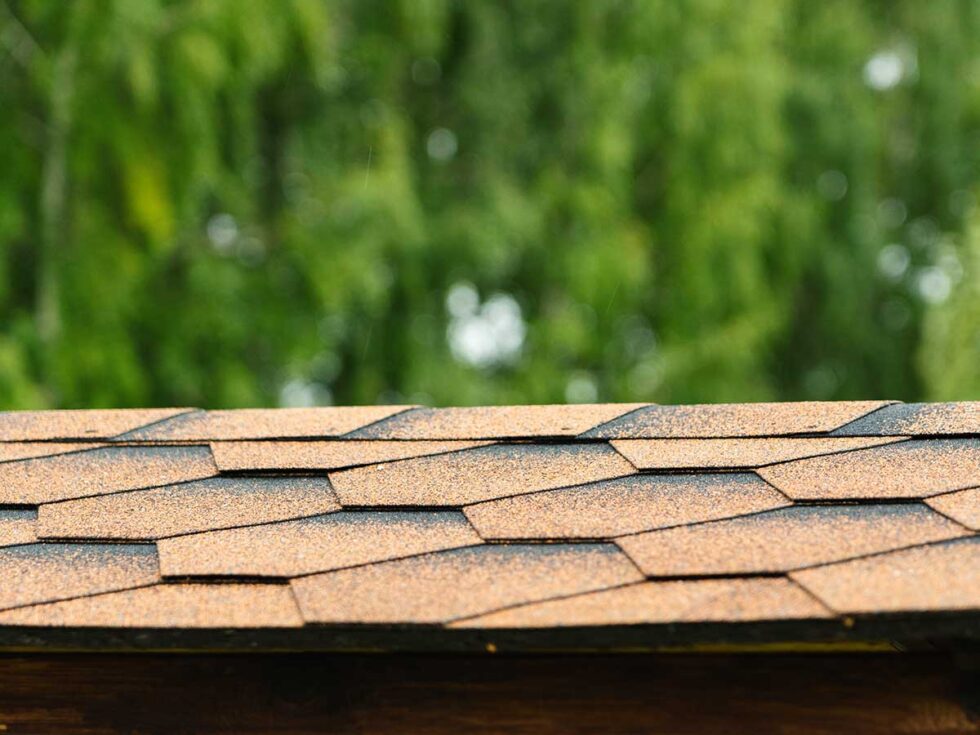 Choosing Great Fiberglass Shingles for Your Parksville Home